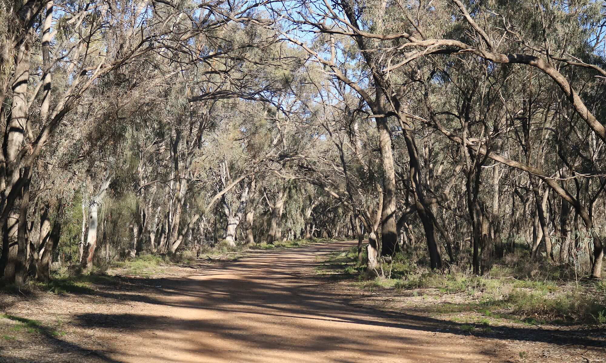 A Berri Good Getaway | Lets Go Caravan and Camping