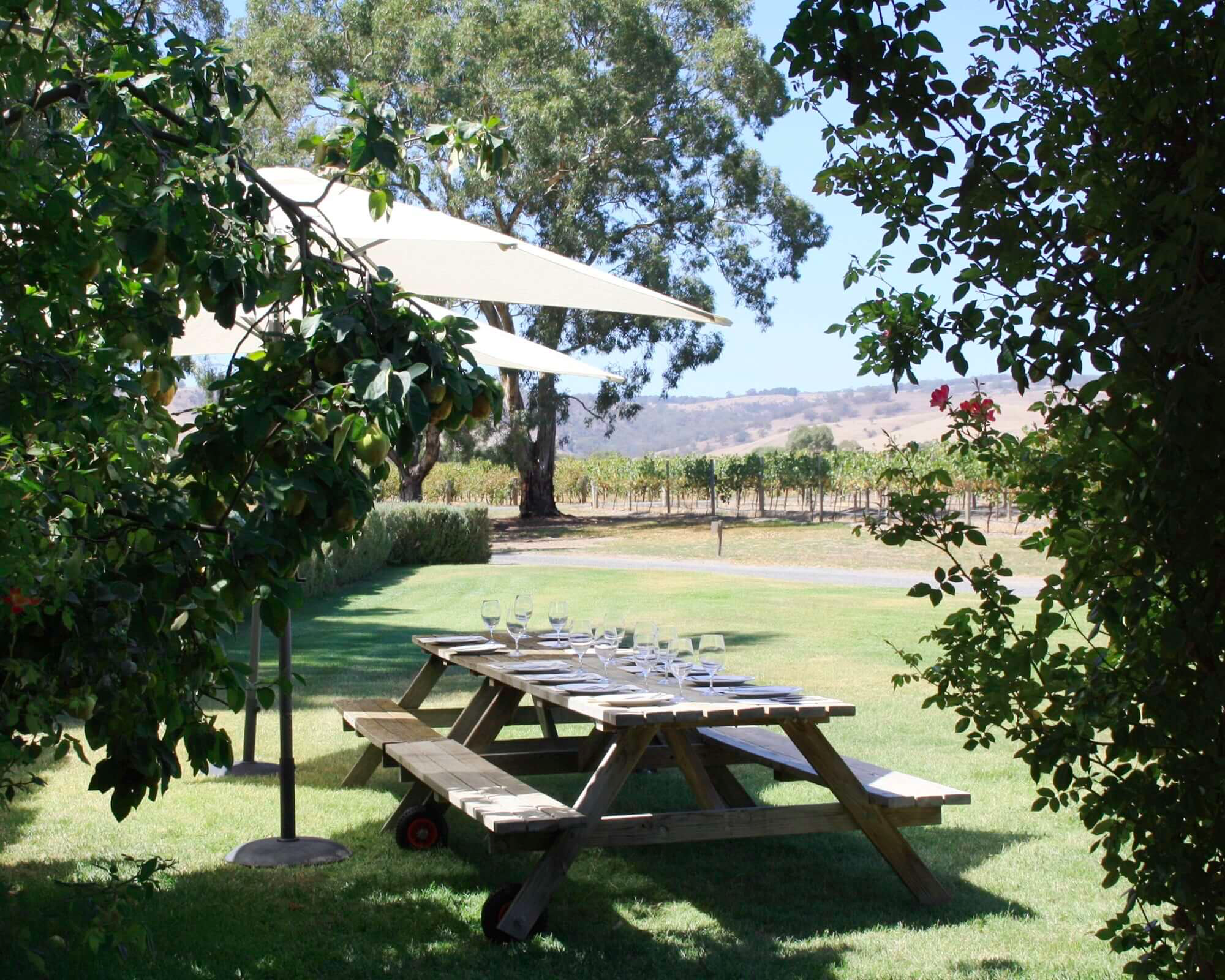 Gourmet Trail Barossa Style | Lets Go Caravan and Camping