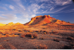 Discover One of SA’s Geological Hidden Gems —Hallett Cove Conservation ...