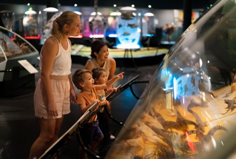 Fun, Free & Low-Cost Family Activities in the NT | Lets Go Caravan and ...